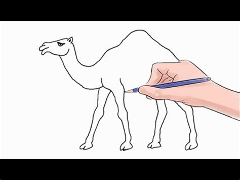 How To Draw A Camel Easy Step By Step Youtube
