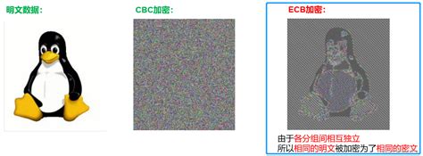 密码学——现代密码体制总结（别再管哈希叫加密了哦） 密码算法体系 csdn博客