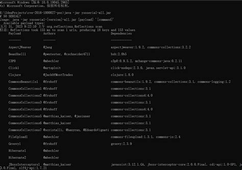 Cve Csdn