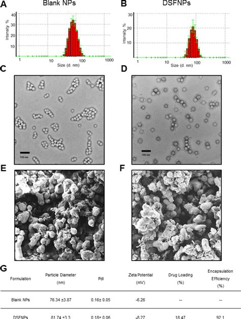 Characterization of mPEG-PLGA nanoparticles. (A, B) The size, size... | Download Scientific Diagram