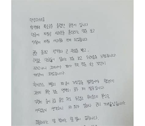 허위 학폭주장 네티즌 자필 사과문