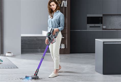 Laresar Elite Vs Rowenta XPert Flex Aspirateur Innovant