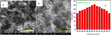 Sem Image Of A Tio2 And B P C Tio2 Respectively And C Particle Download Scientific