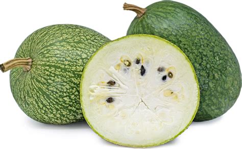 Chilacayote Squash Information And Facts
