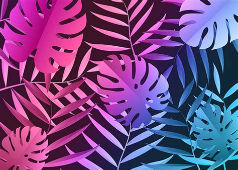 트로피컬 잎 배경 유토이미지 상세페이지 베이직샵 21305131