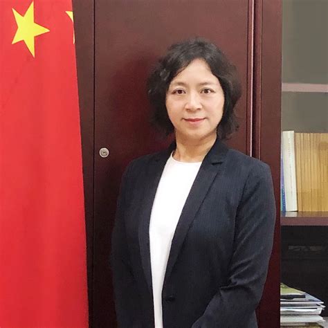 Consular And Visa Services