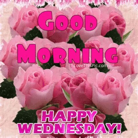 Good Morning Happy Wednesday  Good Morning Happy Wednesday