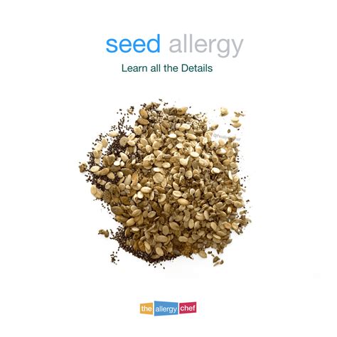 Sesame Allergy Foods To Avoid Symptoms Reading Labels And More The