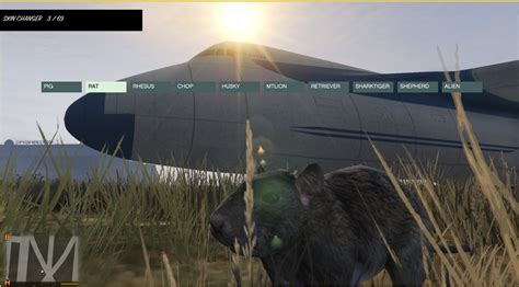 GTA 5 ScriptHook Mod macht quasi alles möglich
