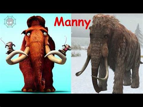55 Ice Age In Real Life Youtube Ice Age Ice Age Real Life