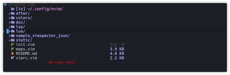 nvim 配置打造 sr丶 博客园
