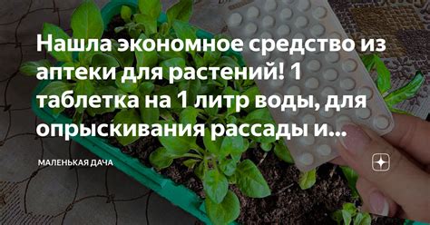Нашла экономное средство из аптеки для растений! 1 таблетка на 1 литр ...