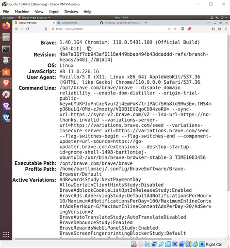 Upgrade From Chromium 110 0 5481 97 To Chromium 110 0 5481 100 · Issue 28515 · Brave Brave