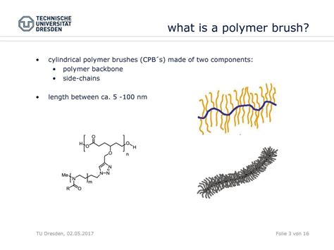 Synthesis And Characterization Of Polyester Based Molecular Brushes Ppt Download