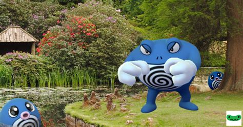Poliwrath Pok Mon Go