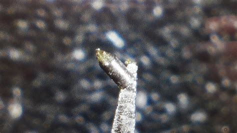 Nur Die Nadel Akustik Nadel Hifi Forumde Bildergalerie