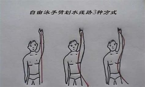自由泳换气技巧大揭秘从正确的呼吸频率到有效的呼吸姿势 技奥运动