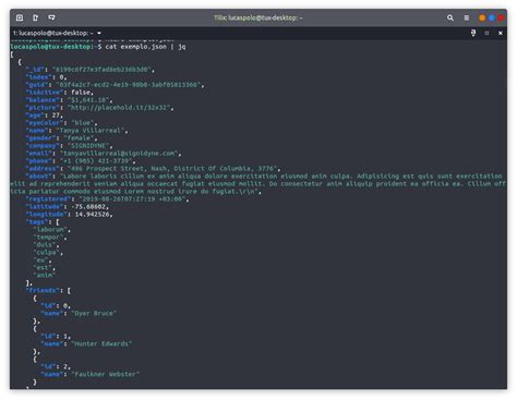Lucaspolodev Fazendo Queries Em Json Com Jq