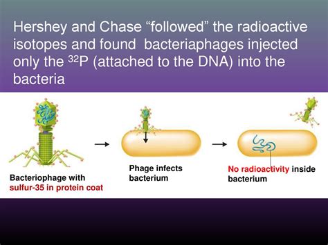 Dna Notes Ppt Download
