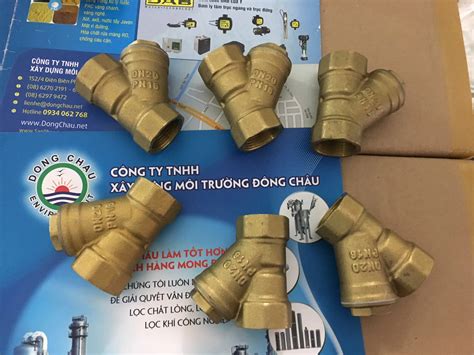 Y Lọc Bằng đồng Dn 20