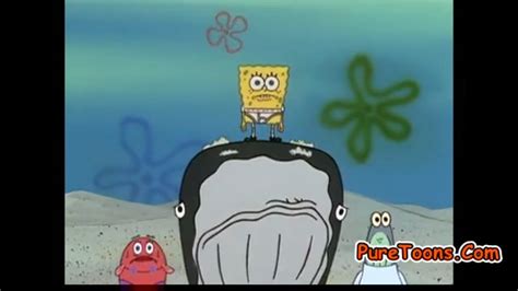 Spongebob Squarepants Ripped Pants Hindi Song R Indianostalgia