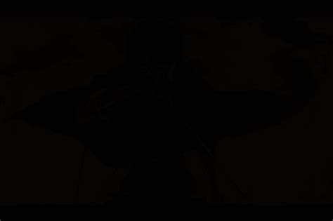 create anytype of an audio react spectrum visualizer under 24 hours by