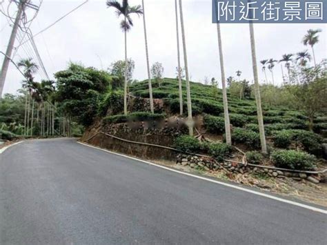 其他南投鹿谷稀有臨路平坦景觀農牧用地南投縣鹿谷鄉茅埔段 樂屋網 土地買賣