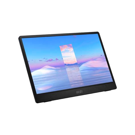 Msi Pro Mp161 156 1080p 60hz Ips Usb Type C Portable Monitor Ple