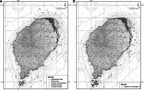 A Total Of 129 Gps Positions Of Individual Cetacean Groups Are Mapped