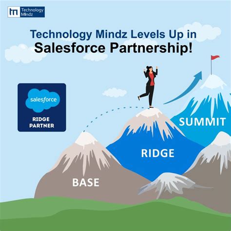 technology mindz on linkedin salesforcepartner salesforce
