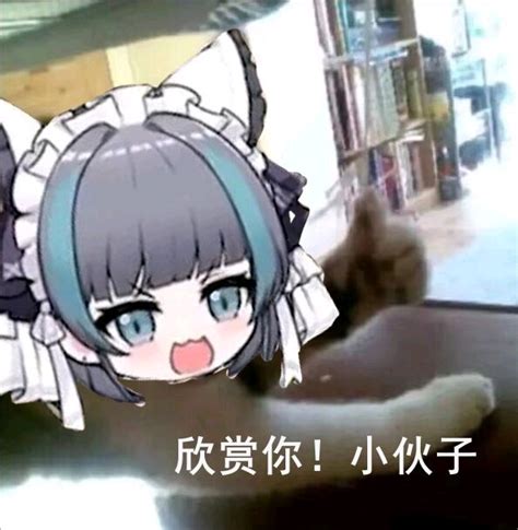 柴郡猫猫表情包分享012 22 04 22 哔哩哔哩