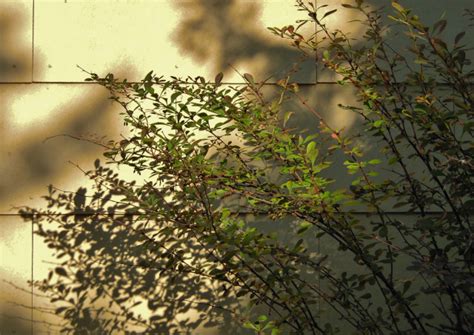 Katoavat Materiaalit Minerit Levy Talotarinat