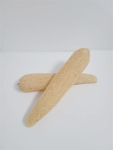 자연친화 쇼핑몰 에코비아