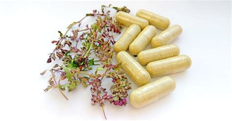 Farmacêuticos E A Prescrição De Fitoterápicos