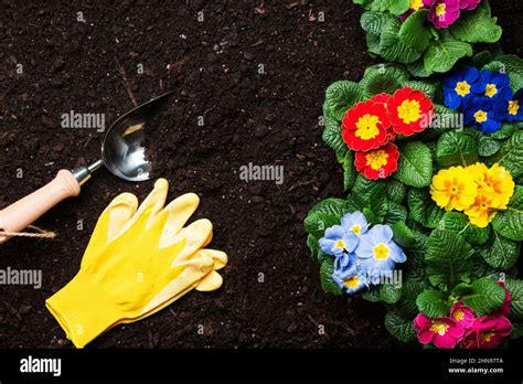 Gardening Background Spring Planting Related Objects On Turf Garden