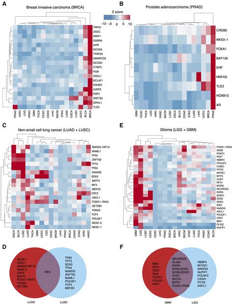 Evaluation Of The Collocation Metrics Implemented In Cobind Using Download Scientific Diagram