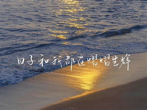 iPad 电脑壁纸 堆糖美图壁纸兴趣社区