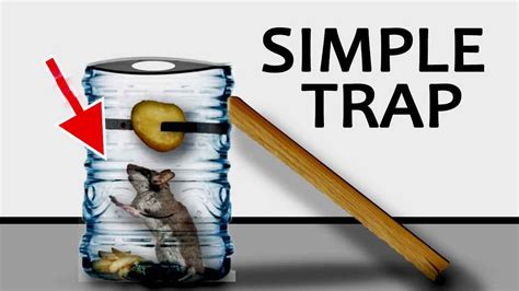 Simple Mouse Trap Plastic Bottle Mouse Plastic Trap Bottle Traps