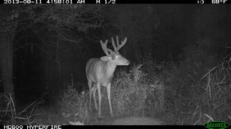 Would You Archery Talk Forum