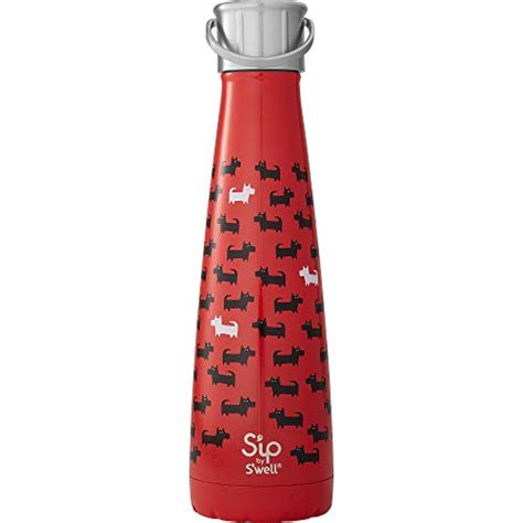 I Tested The Sip By Swell 15 Oz The Perfect Companion For On The Go