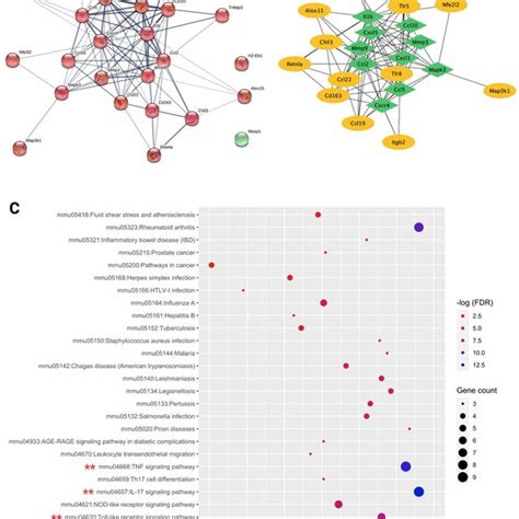 Nanostring Global And Differential Gene Expression Analysis Upon