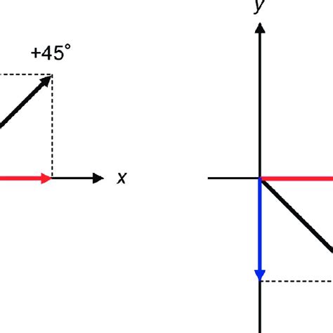 Vector Diagram Of The Polarization Modulation Download Scientific
