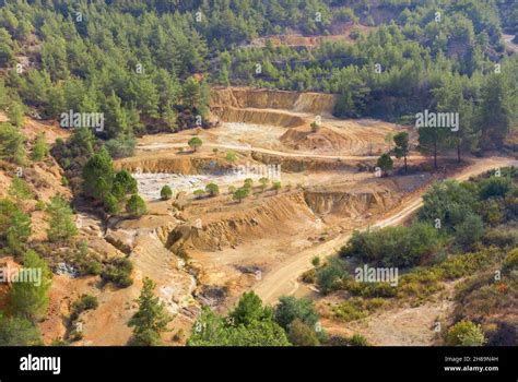 Ecosystem Restoration Reforestation In Former Open Pit Mine Area In