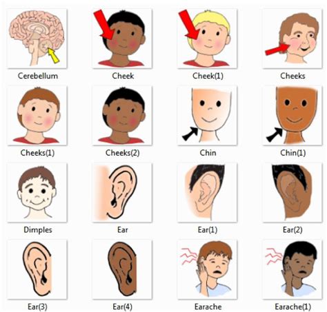 Pin On Visual English Dictionary