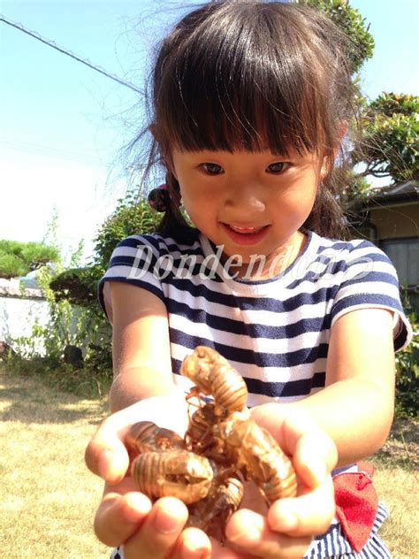 こんな日もあったんやねぇ。。。 に い は ま Dondendonっ