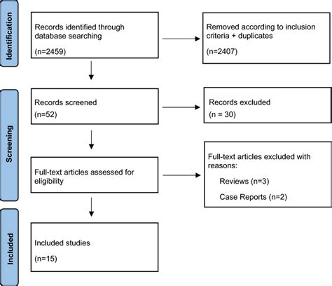 Included Articles According To The Prisma Guidelines Download