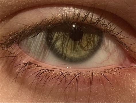 Green Eye Occhi Verdi Occhi