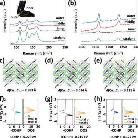 Spatial Micro Raman Shift Analysis And Theoretical Calculations The Download Scientific Diagram