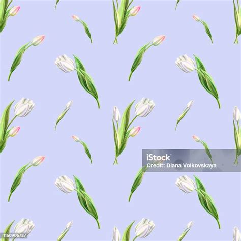 美しい白いチューリップは青い背景にシームレスなパターン花のコレクションマーカー描画水彩画壁紙 おしべのベクターアート素材や画像を多数ご用意