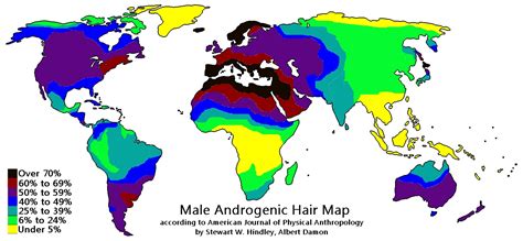 Androgenic Adult Human Male Hair Distribution Map According To Natural